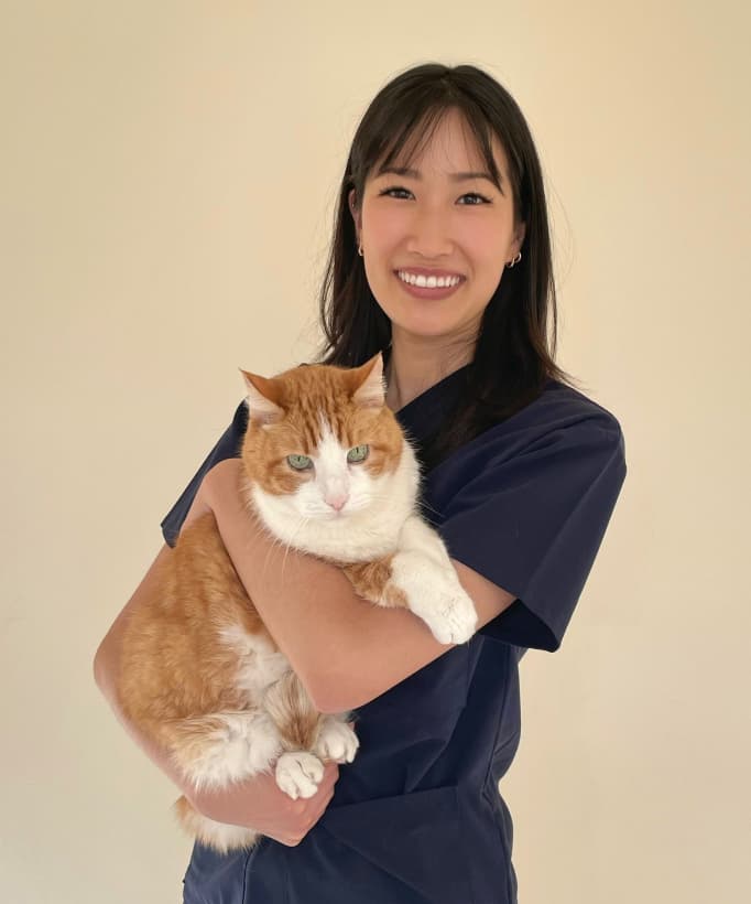 Palms & Paws Veterinary Center - Palms & Paws