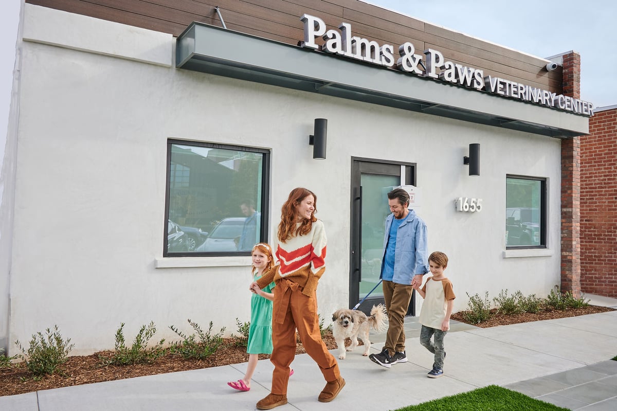 Palms & Paws Veterinary Center - Palms & Paws